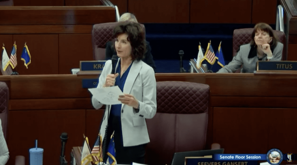 Senator Heidi Seevers Gansert Won't Seek Reelection In 2024 - Nevada Globe