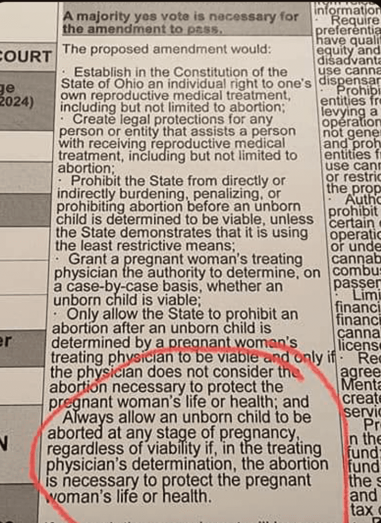 Partial-Birth Abortion Activists Prepare For The 2024 Election - Nevada ...